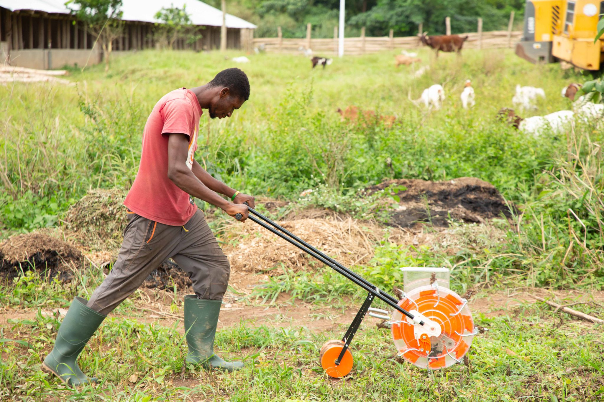 Farming in Africa – Farming into the Future
